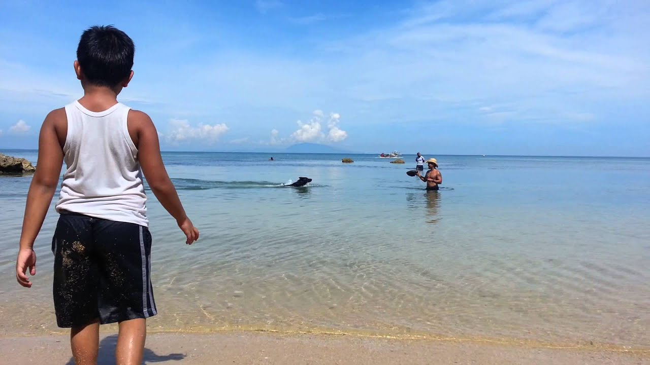 Argo cliff jump - YouTube