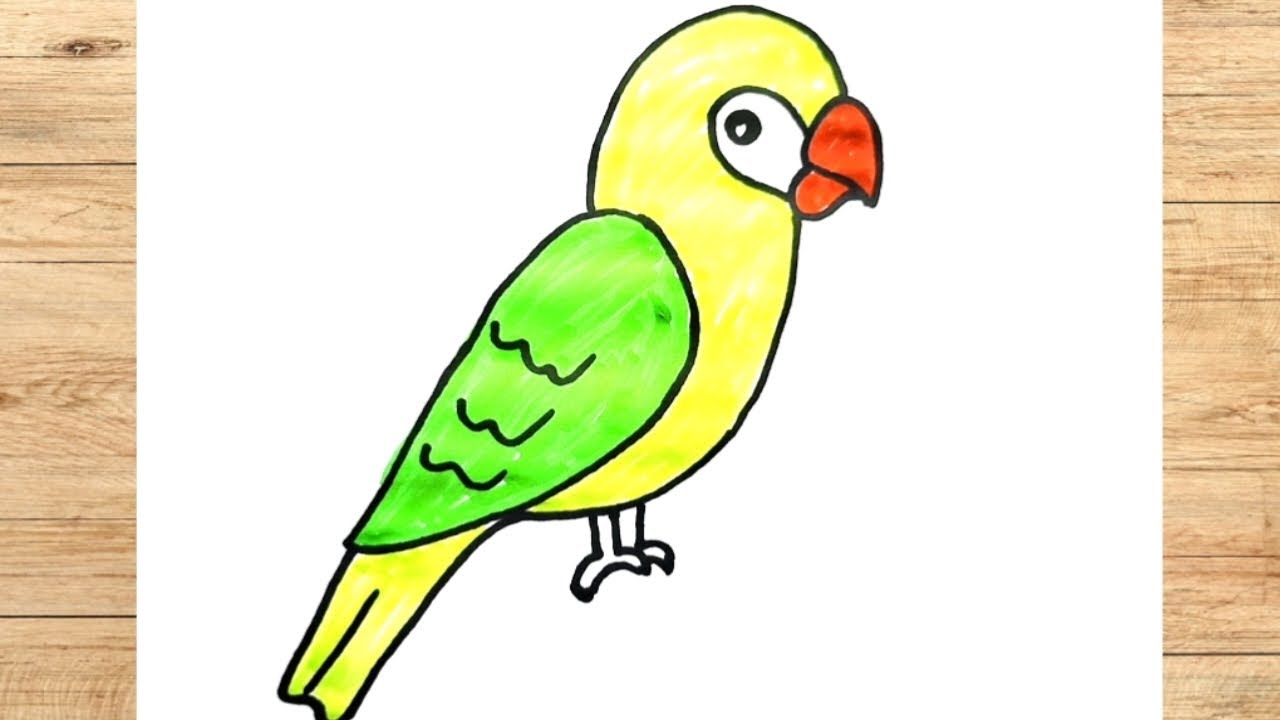 How To Draw Parrot Step by Step For Beginners || Parrot Drawing ...