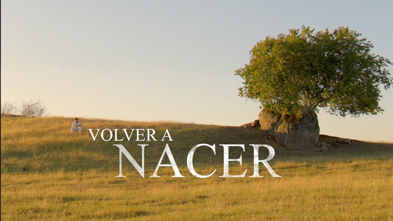 Mr. Don - VOLveR a NACer | Video Oficial - YouTube