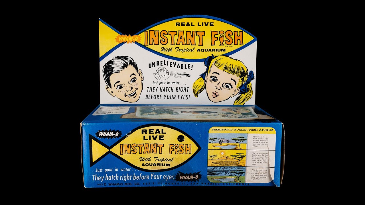 Instant Fish - YouTube