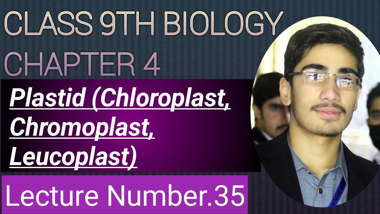 Chloroplast| Chromoplast| Leucoplast| Plastid Class 9th Biology - YouTube