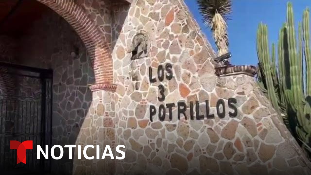 Los 3 potrillos, el núcleo del legado de Vicente Fernández | Noticias ...