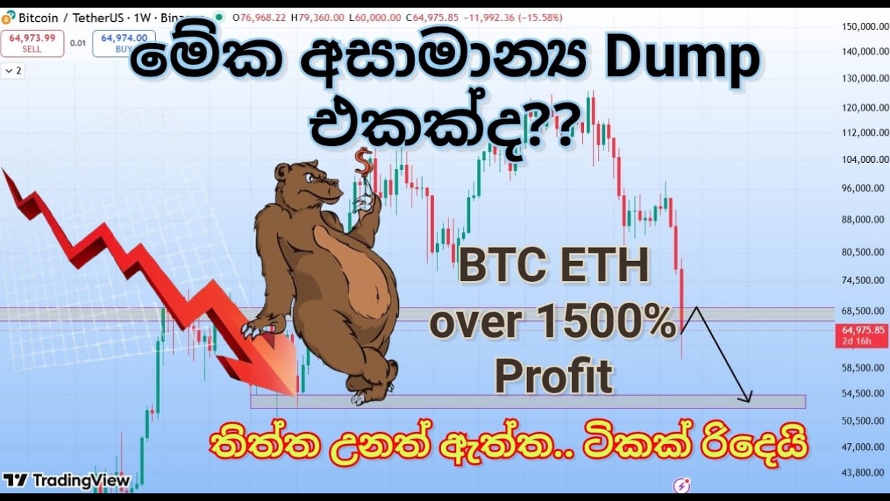 Where is the bottom?? | BitCOIN වෙළඳපොළ ගැන පැහැදිලි කිරීම | Daily BTC ...