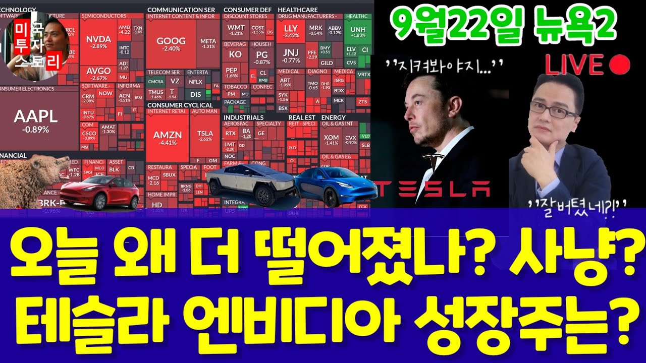 미국주식시황오늘 왜 더 떨어졌나 내일은 테슬라 엔비디아는 왜루시드 리비안 니오 구글 애플 아마존 메타 마이크로소프트