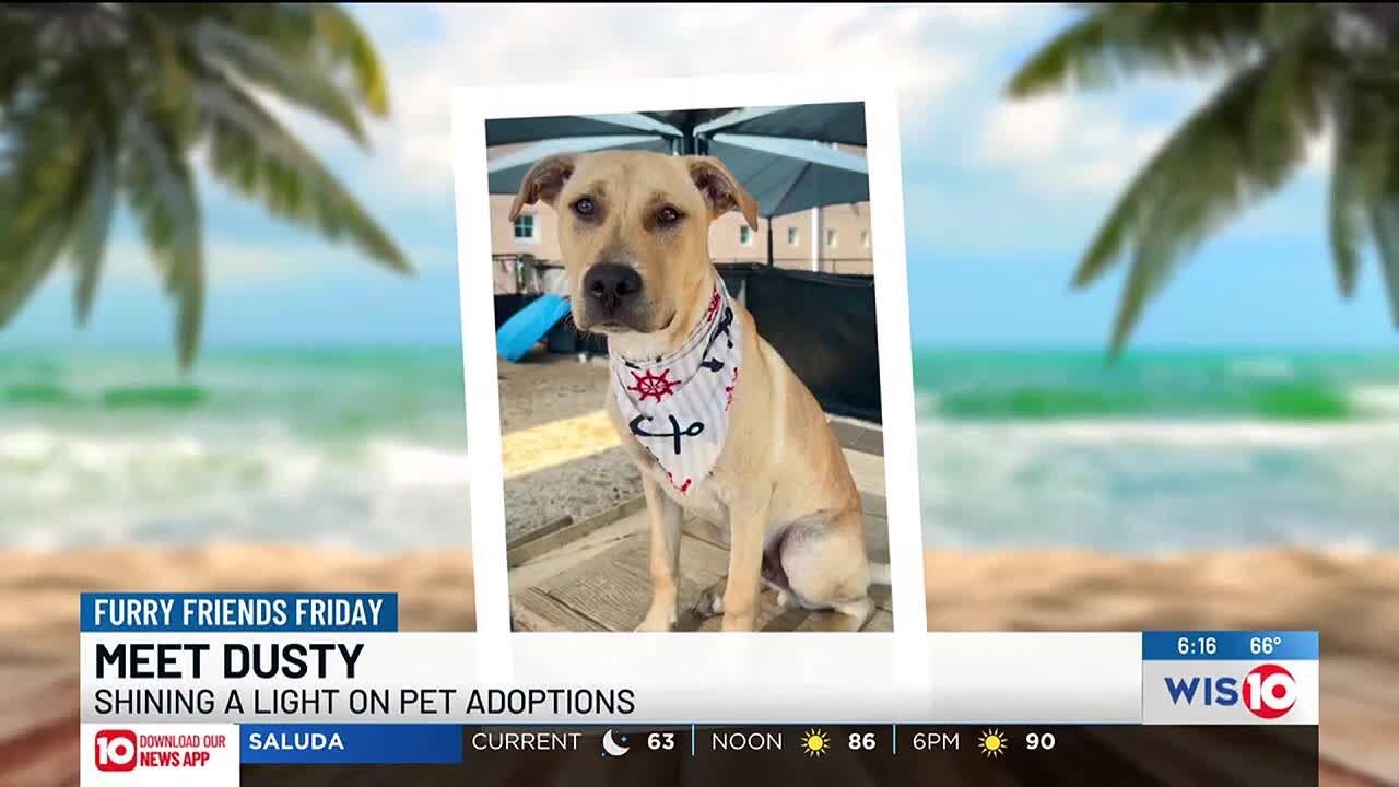 Furry Friends Friday: Dusty - YouTube