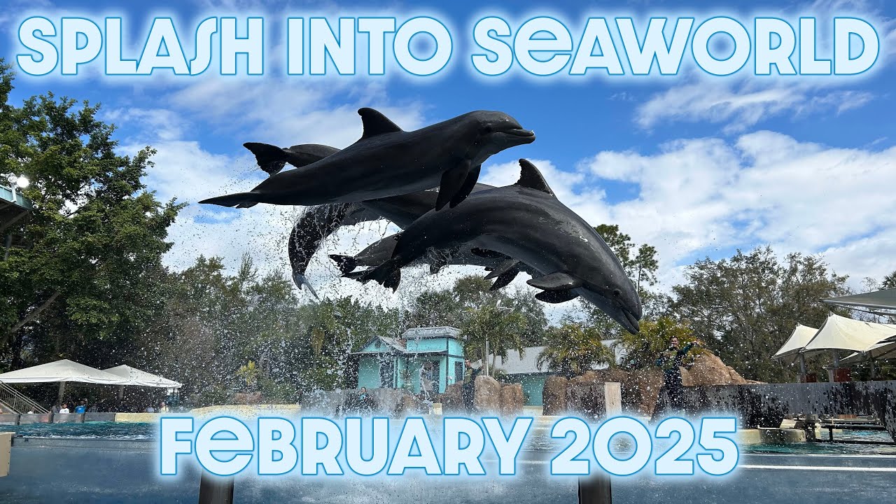 Perfect Weather at SeaWorld Orlando: February 2025 Vlog - YouTube