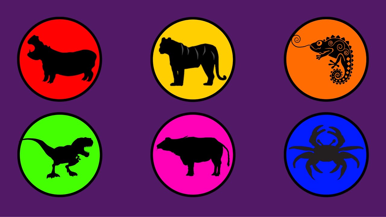 Animals,Dinosaurus,Hippopotamus, Tiger, Chameleon, Buffalo, Crab ...