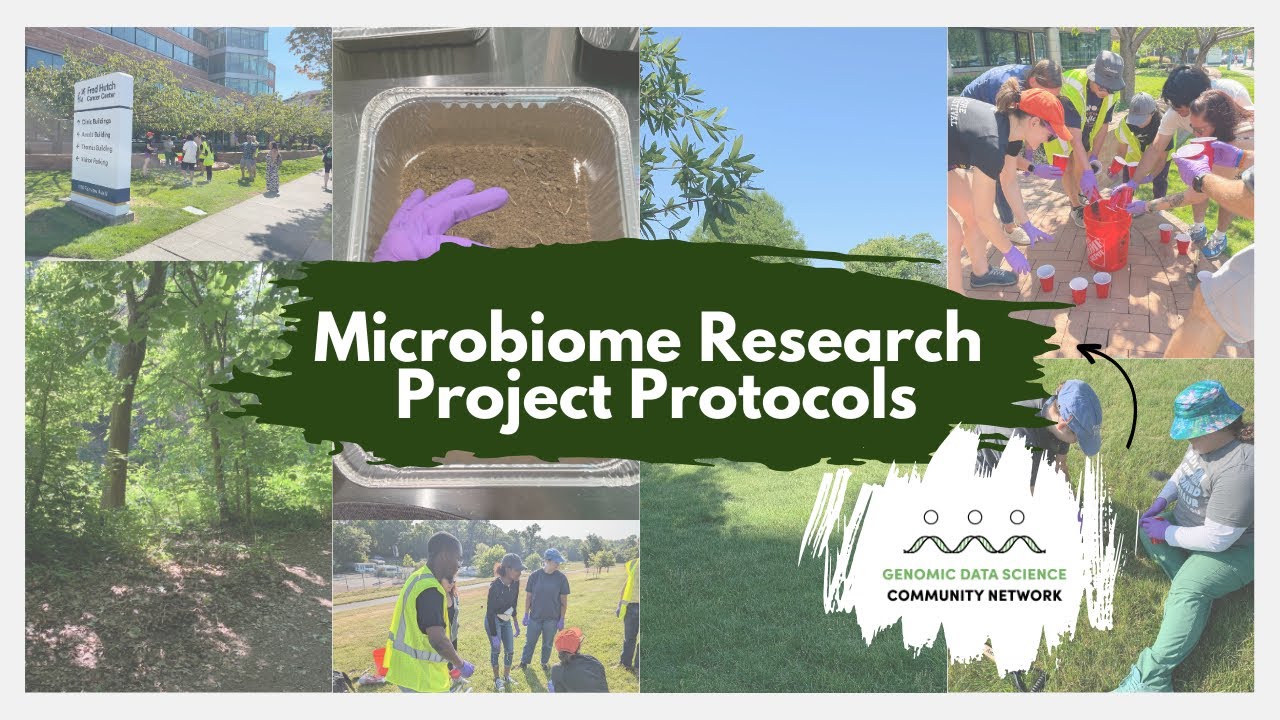 GDSCN Soil Sampling - Composite Sample Homogenization - YouTube