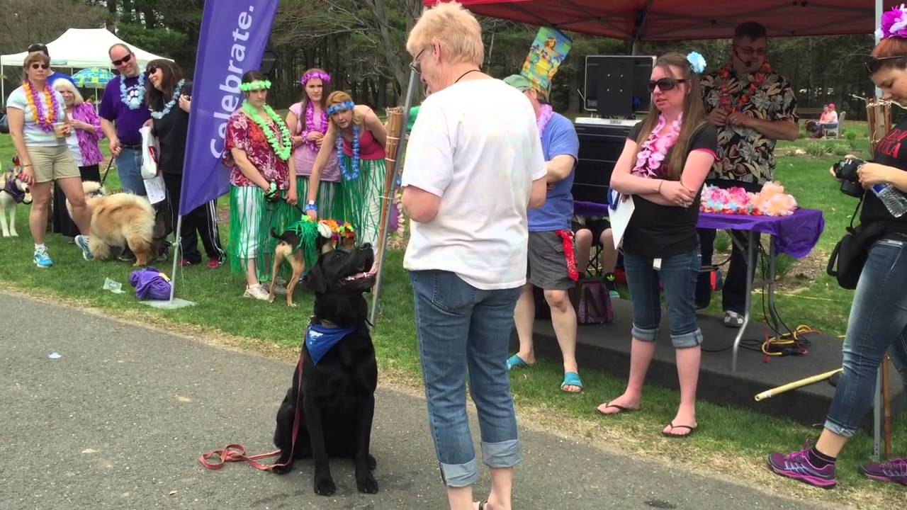 Bark For Life- American Cancer Society- May 3,2015 - YouTube