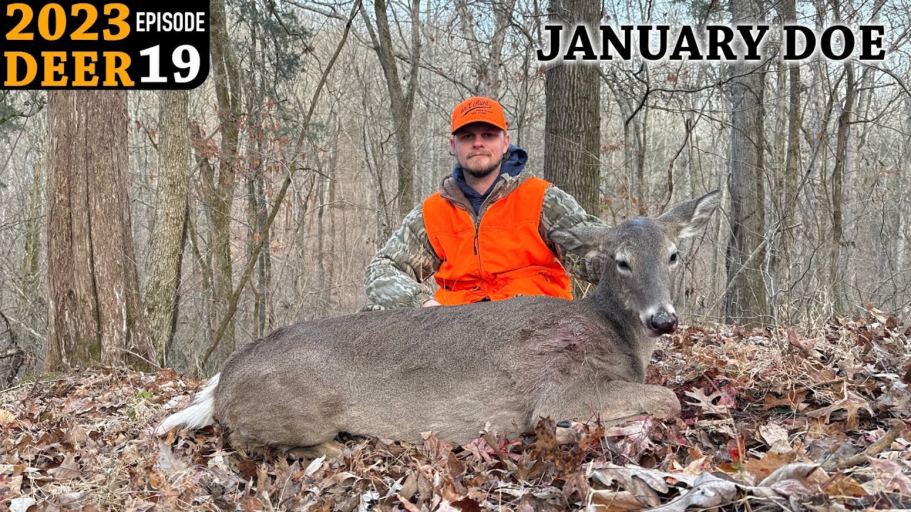Doe Down Before Sunrise - Public Land Late Season Deer Hunting - YouTube