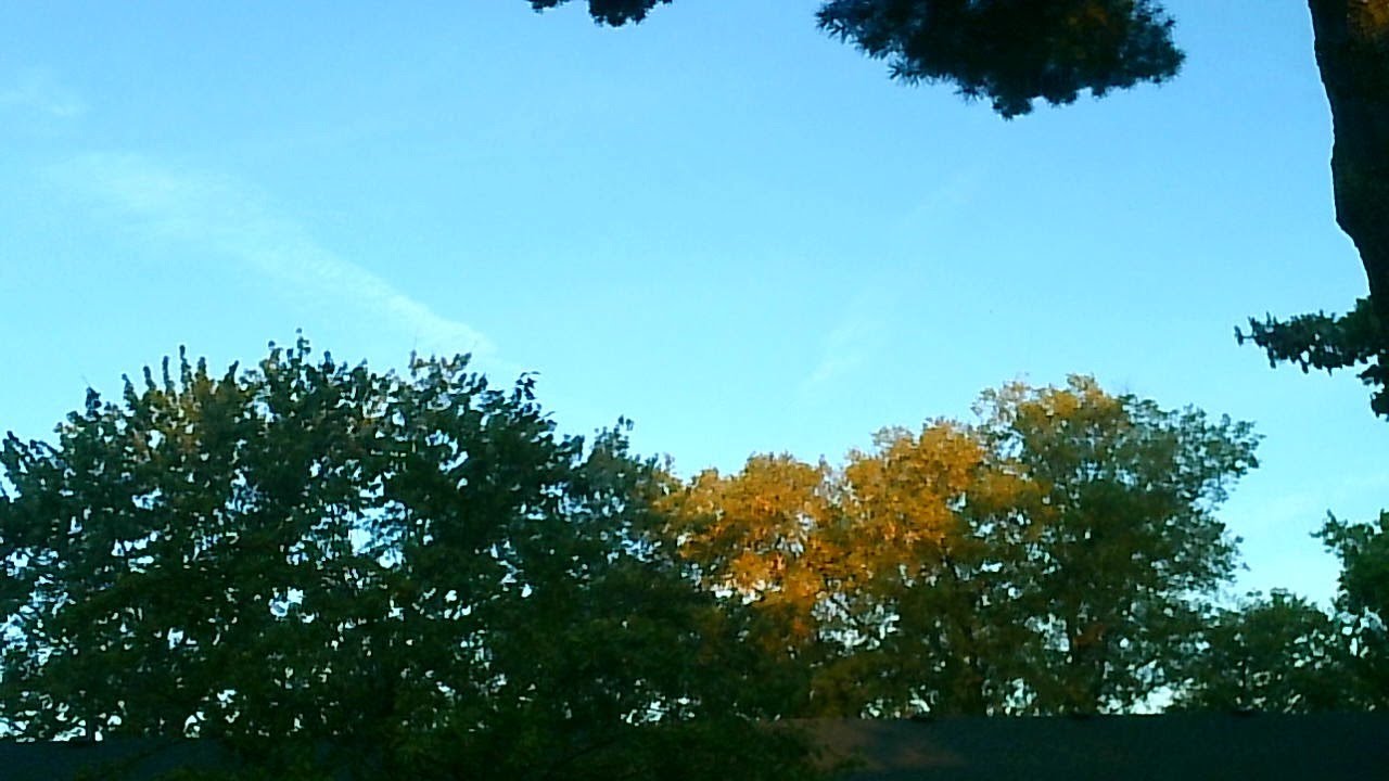 the main players in the delphi case was drug filled youtubers cult on a ...