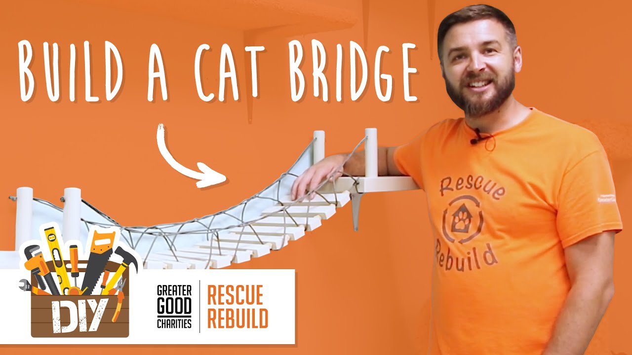 Rescue Rebuild DIY Projects Building Cat Bridges YouTube rescue-rebuild-diy-projects-building-cat-bridges-youtube