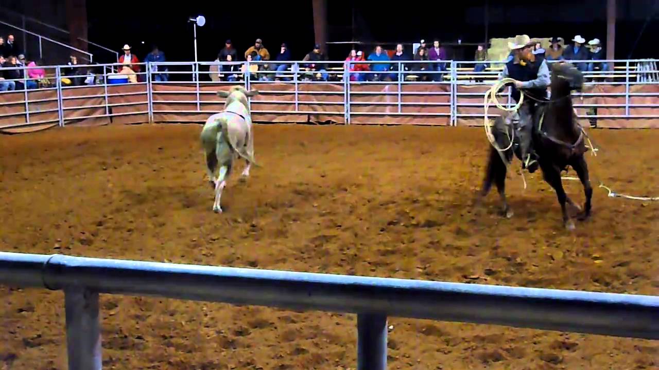 CBR Bull Riding 17 - YouTube