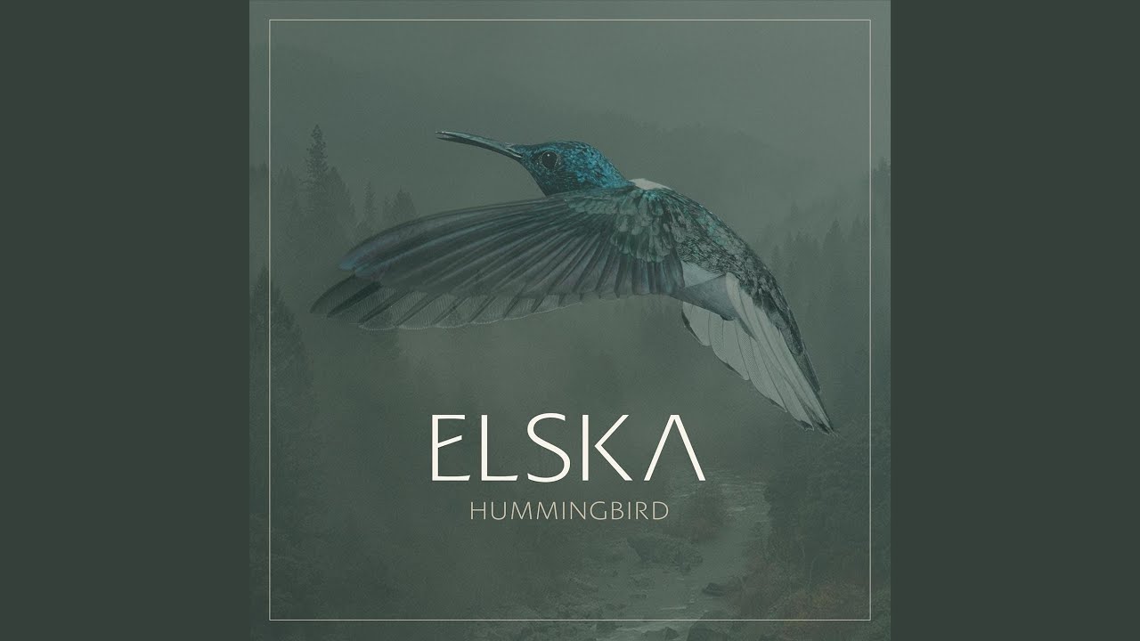 Hummingbird - YouTube