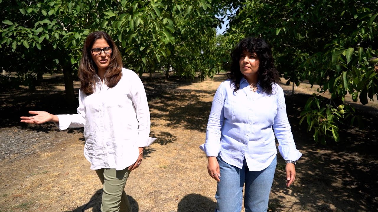 Sisters Take the Lead at this Northern California Prune Orchard ...