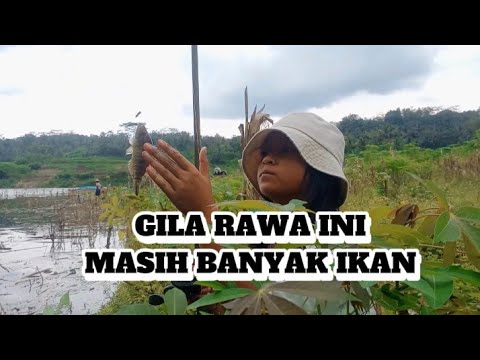 MANCING DI RAWA Part 2#mancingceria #mancingdiwaduk #mancingmantap # ...