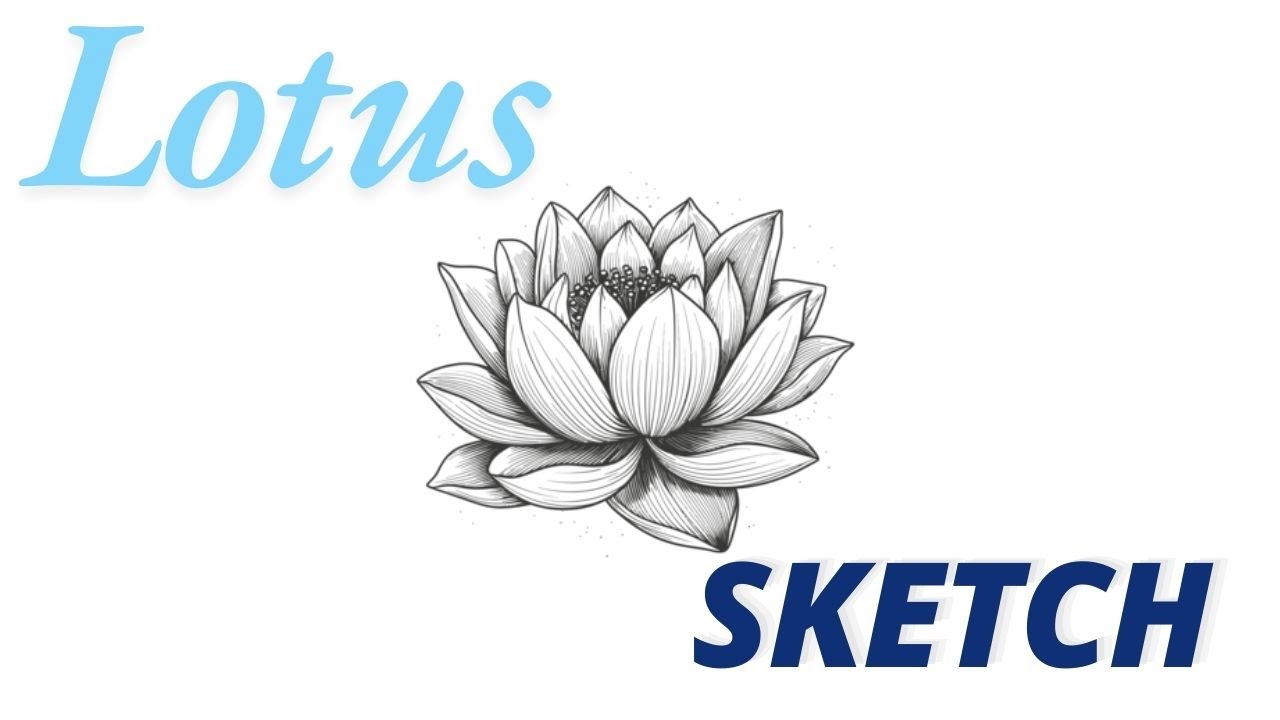 HOW TO DRAW A LOTUS LIKE A PRO! | LOTUS DRAWING | LOTUS SKETCH - YouTube