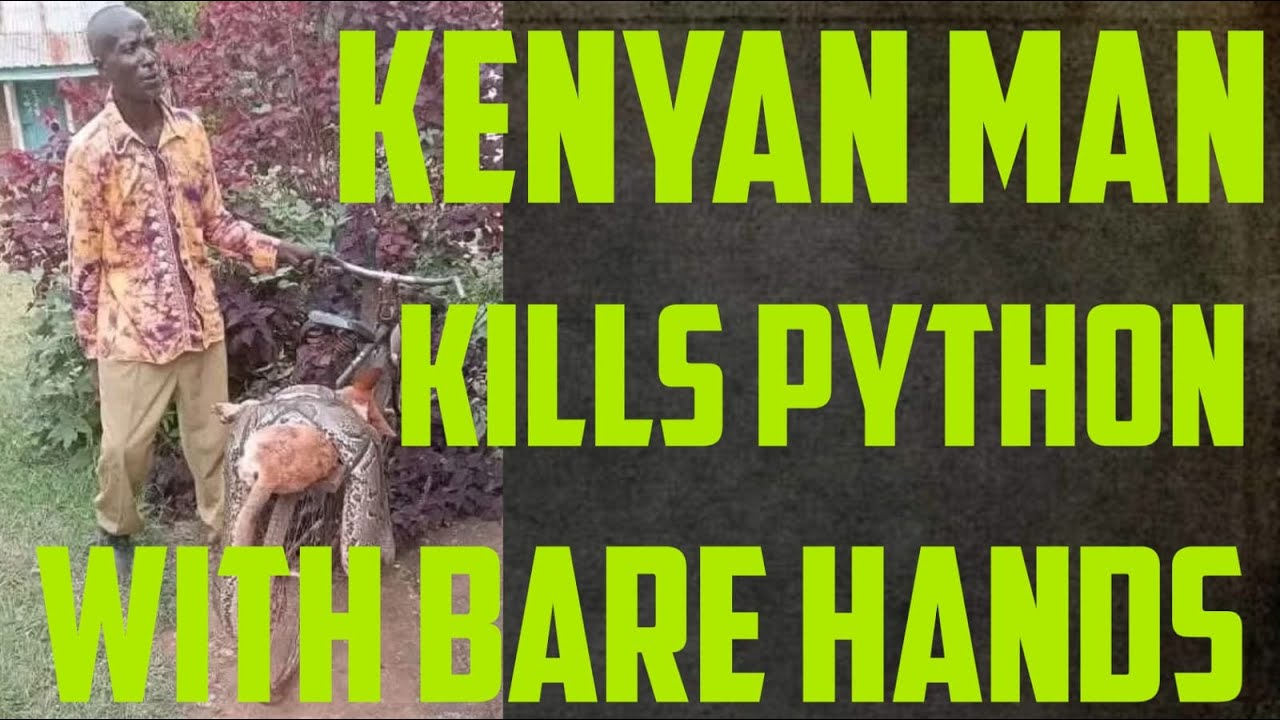 Kenyan Man Kills Python With Bare Hands!!! - YouTube