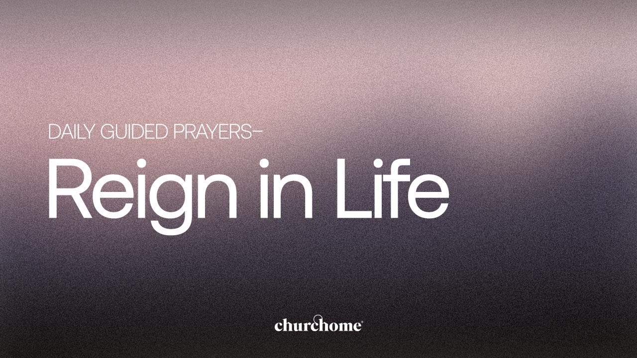 Reign In Life - YouTube