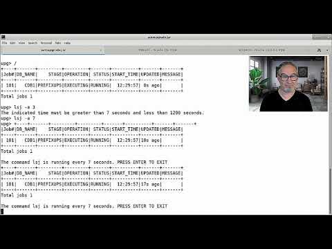 DEMO: Useful commands in Oracle AutoUpgrade - YouTube
