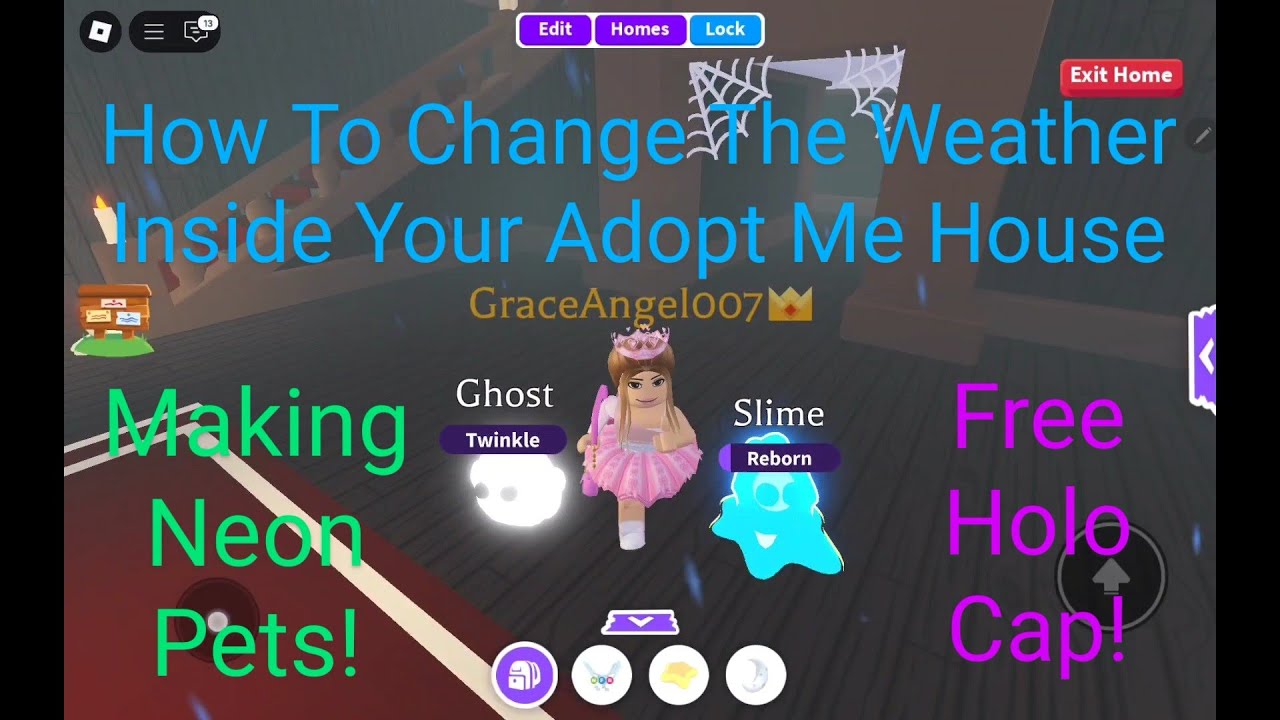 Adopt Me Update! Showing Ambience & Weather Effects In Different Houses ...