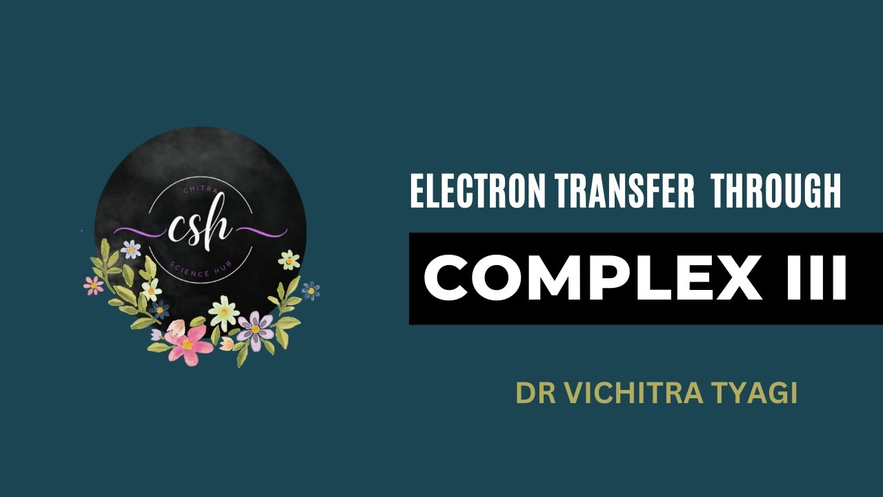 ELECTRON TRANSPORT CHAIN PART-3 ELECTRON TRANSFER THROUGH COMPLEX III ...