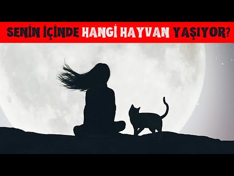 Ruh Hayvanın Kaderini Nasıl Şekillendiriyor? Kronotipine Göre Ruh Hayvanın Hangisi?