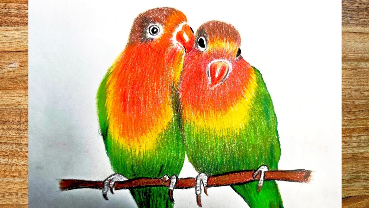 How to draw two parrots on branch of tree - YouTube