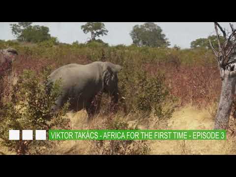 Takács Viktor - Afrika először - 3. rész