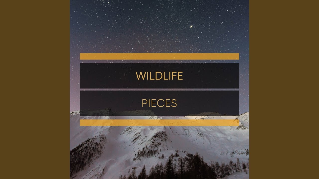 Zen Chords by the Water - YouTube