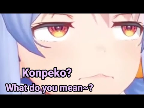 Konpeko? What do you mean?