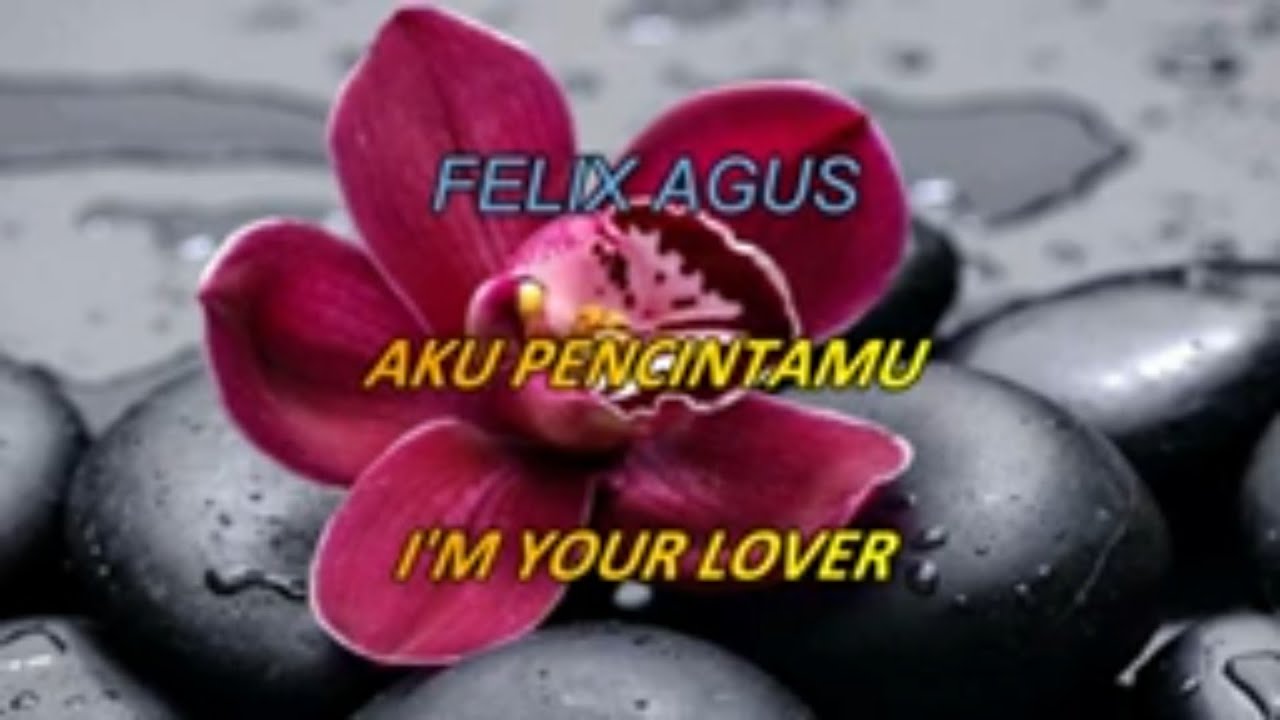 Felix Agus - Aku Pencintamu (Lyrics Malay/Eng) - YouTube Music