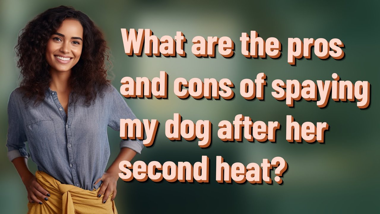 What are the pros and cons of spaying my dog after her second heat ...