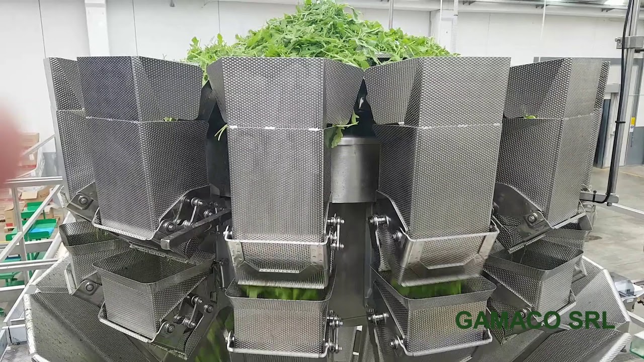 GAMACO- MULTIHEADS/MULTITESTE - YouTube