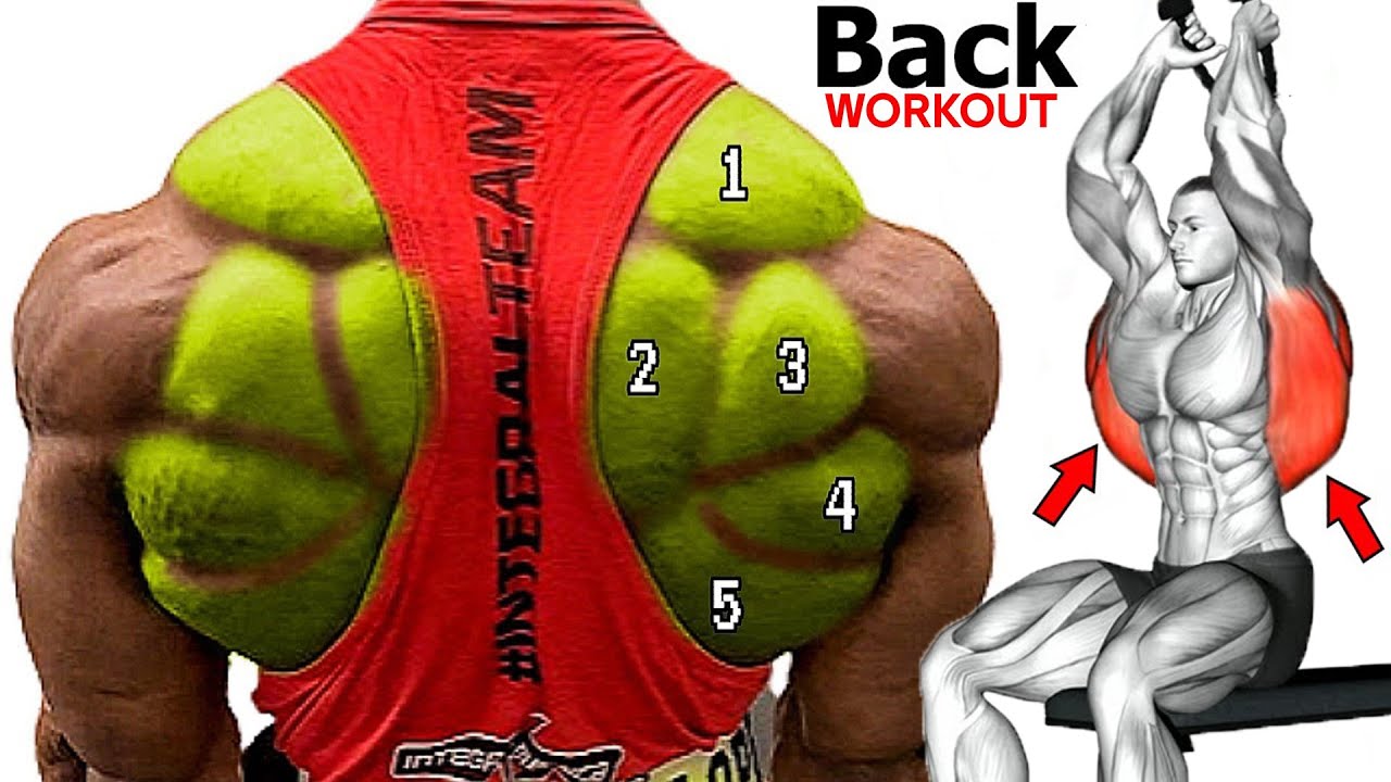 5 BEST BACK EXERCISES TO GET BIGGER BACK FAST - YouTube