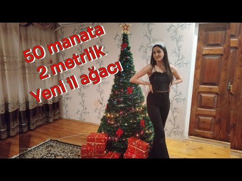 2 metrlik Yeni il ağacını 50 manata hazırladım