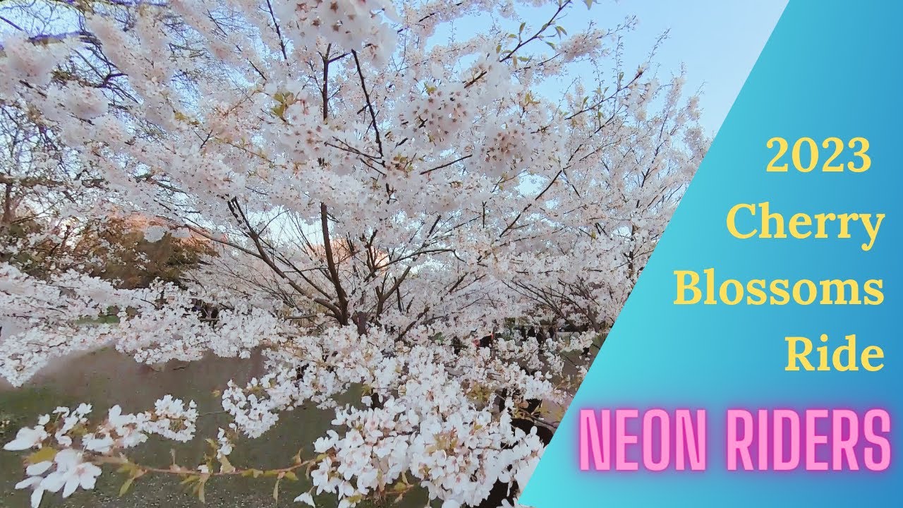 Toronto Neon Riders - 2023 Cherry Blossom Ride - YouTube