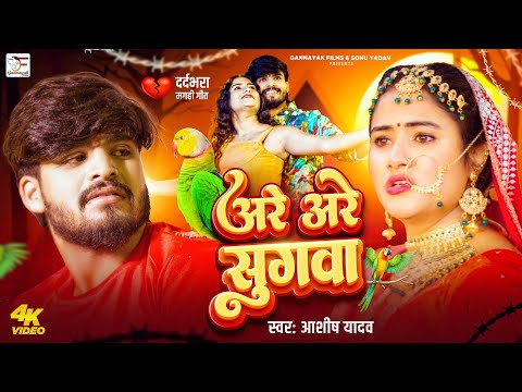 #Video - अरे अरे सुगवा - #Ashish Yadav का एक और रुला देने वाला गाना - #Maghi Sad Song 2025