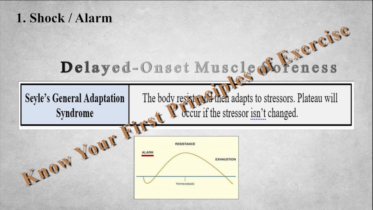 First Principles of Exercise Part I - YouTube