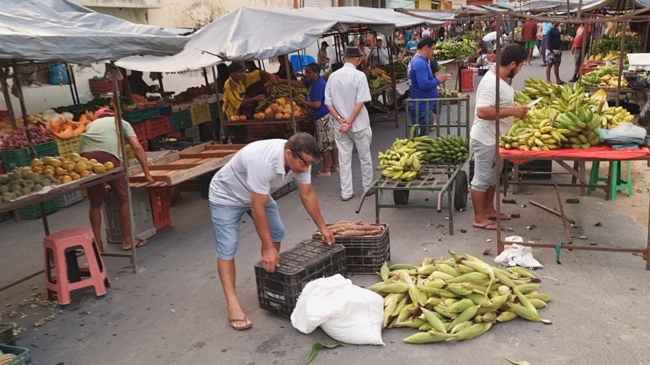 EM LAGOA DOS GATOS-PE 300 BANANAS É R$ 20,00. É SÓ FARTURA. ISTO É ...