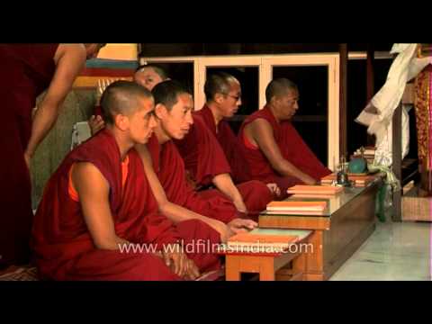 Tibetan monks tantric overtone Chant in Delhi - YouTube