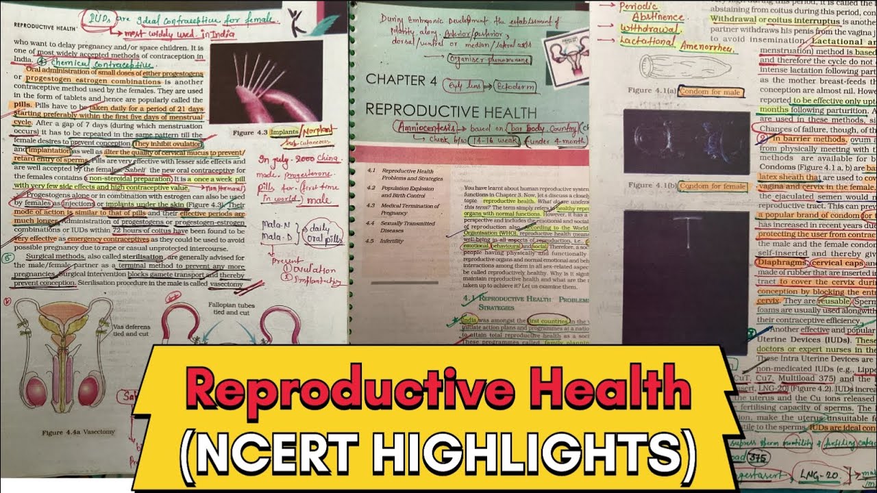 Reproductive Health (For NEET) **NCERT HIGHLIGHTS** class 12th Biology ...
