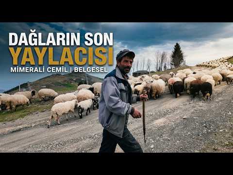 Dağların Arasında Yalnız Yaşam | Son Yaylacı Mimeralı Cemil | Belgesel 4K