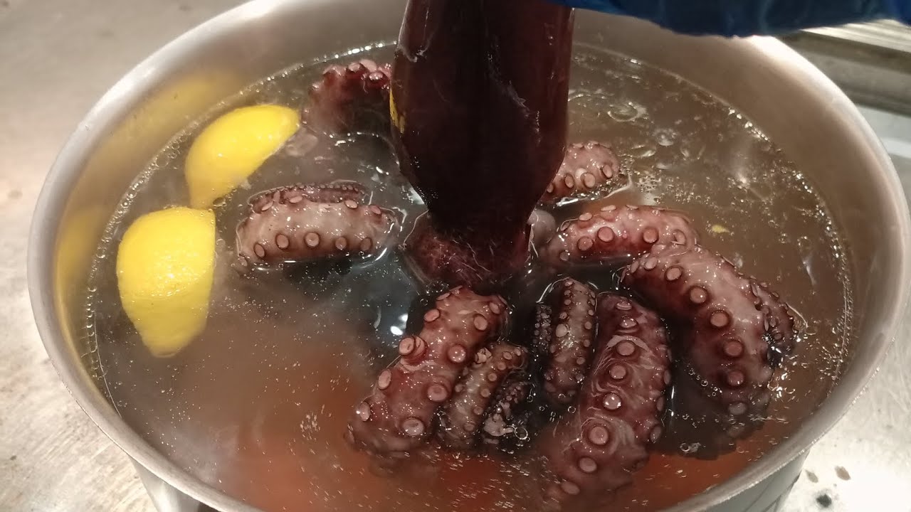 How to boil huge octopus||Octopus boil - YouTube