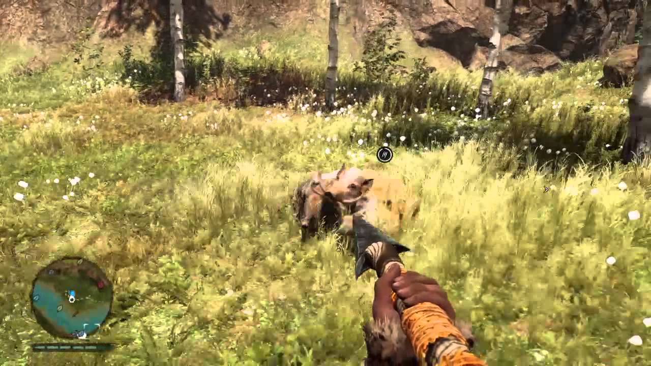 Far Cry Primal Saber tooth Tiger vs Boar - YouTube