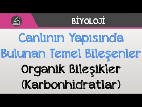 Canlının Yapısında Bulunan Temel Bileşenler - Organik Bileşikler (Karbonhidratlar)