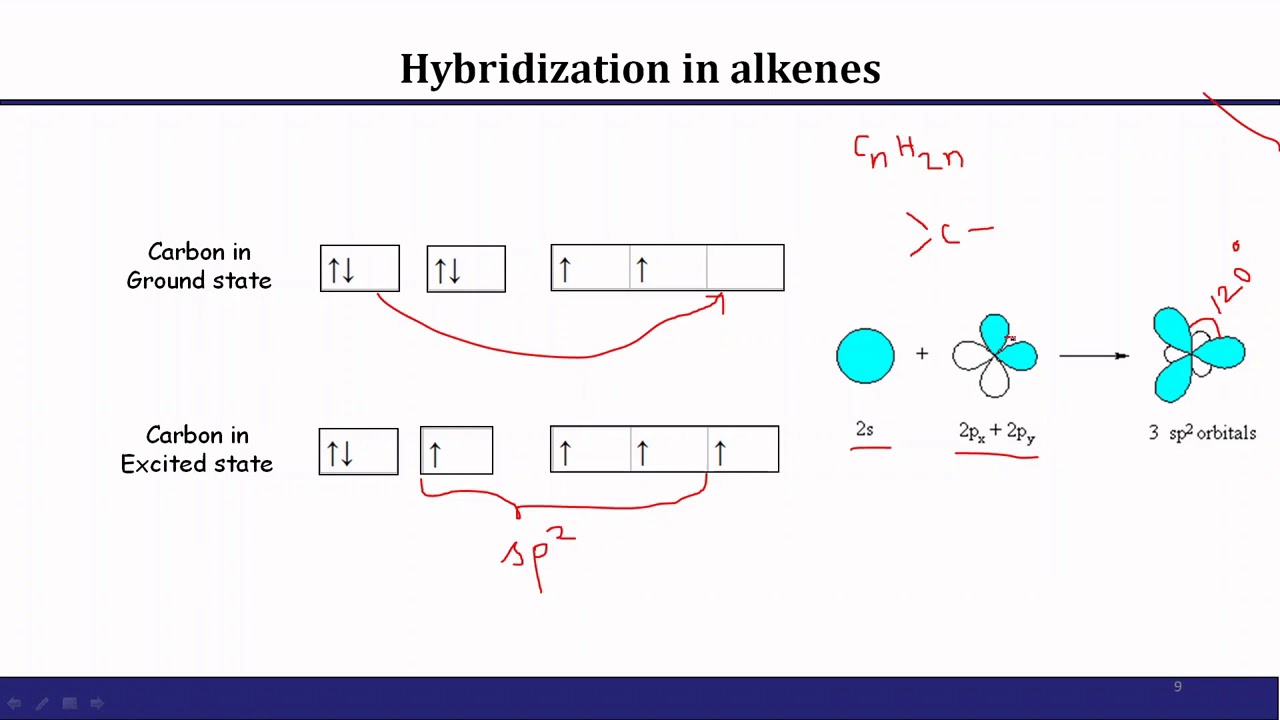 Hybridisation in alkene - Structure and bonding of ethylene - YouTube