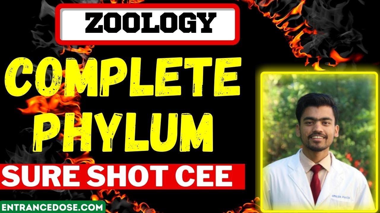 8 Marks Phylum Complete Sure Shot 🔥With Most Important Questions For ...