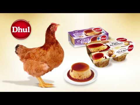 Patrocinio Dhul February 2017 - YouTube