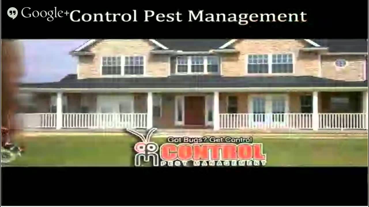 Orlando termite inspection Toll-Free 888-961-PEST Orlando termite ...